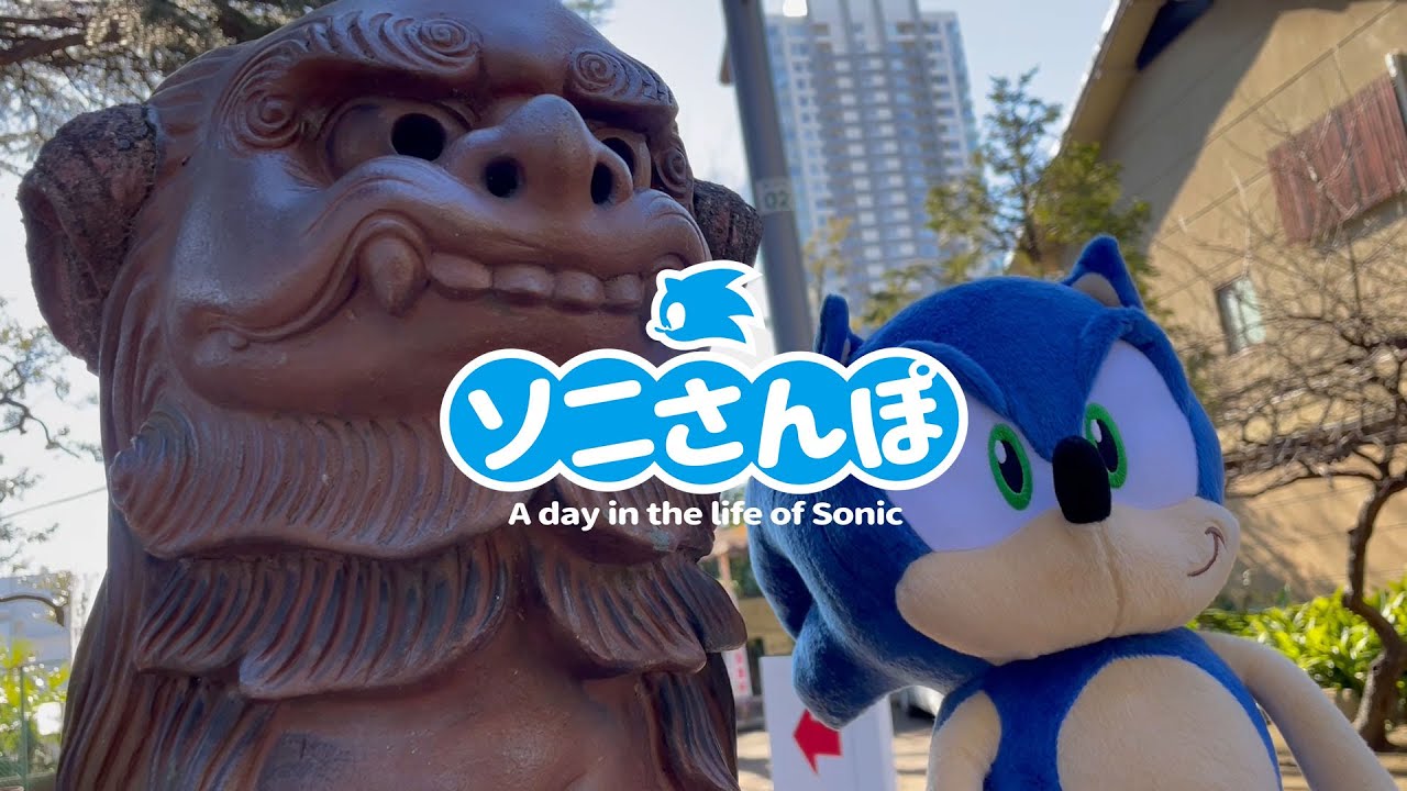 Sonic Japanese Twitter Hosts “A Day in the Life of Sonic” videos for ...