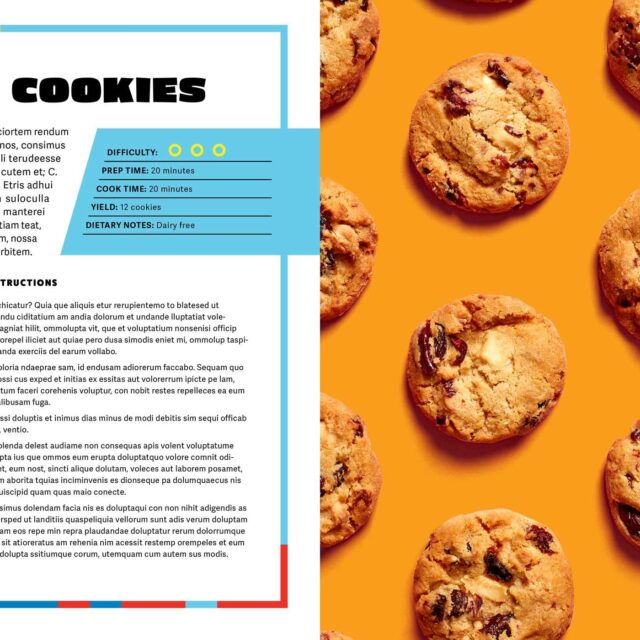 Sonic the Hedgehog: The Official Cookbook by Victoria Rosenthal and Ian ...