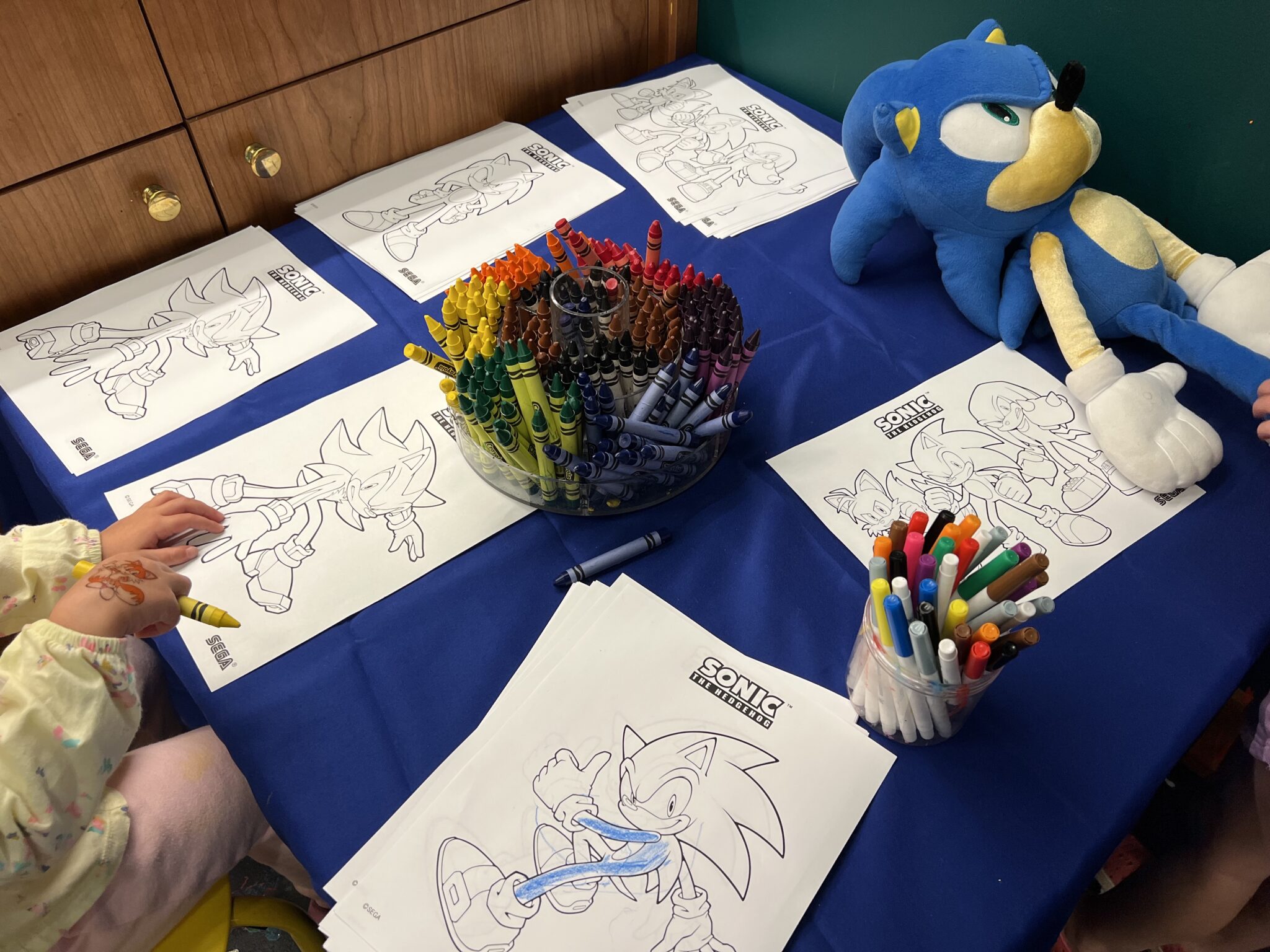 Experience Review: CAMP Meet & Greet with Sonic the Hedgehog » SEGAbits ...